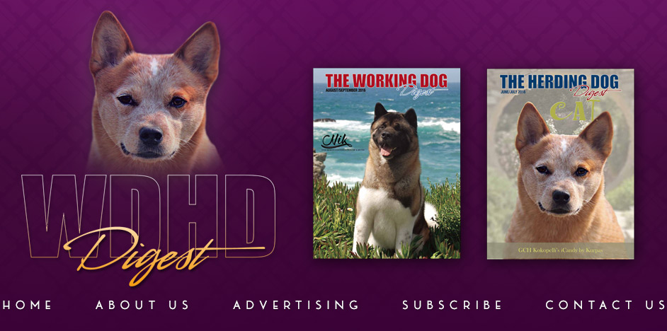 Working Dog Herding Dog Digest :: About Us